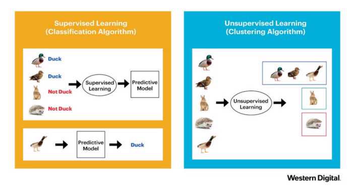 Reinforcement Learning - Apply Open AI GYM Environment
